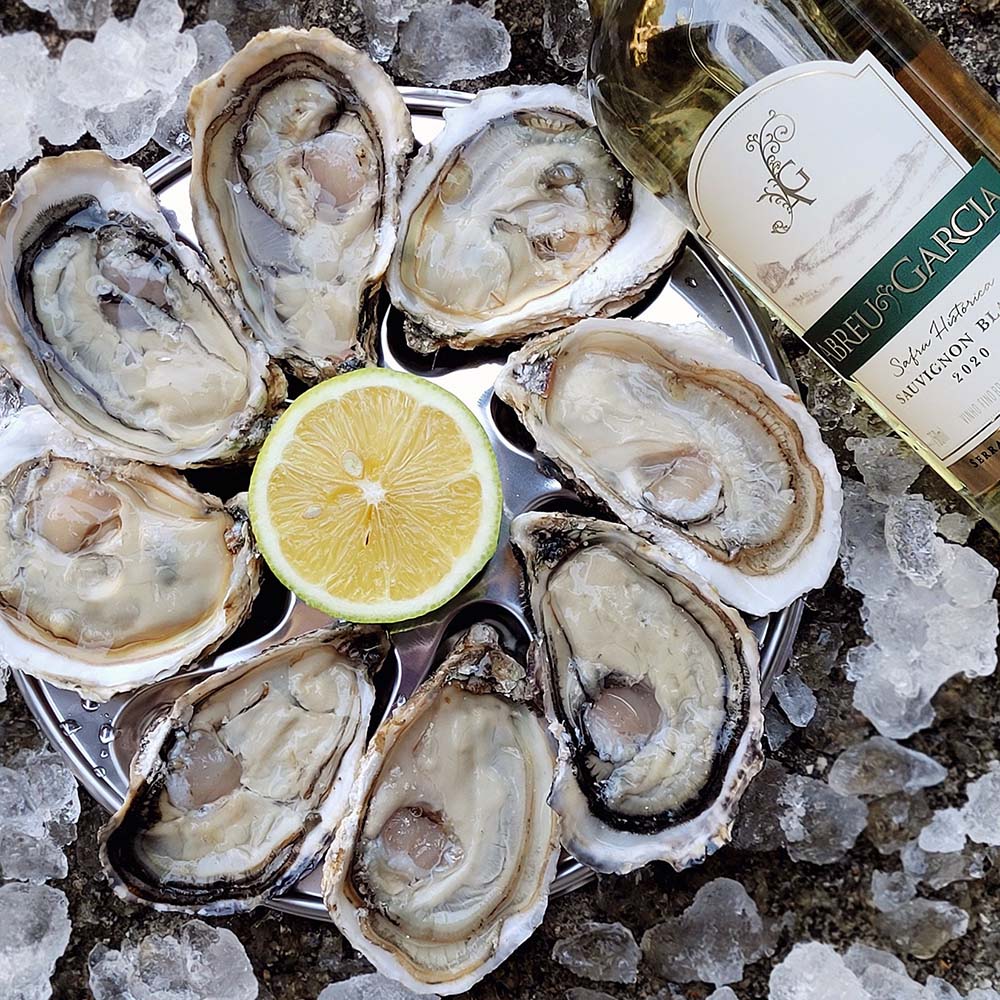 Clube da Ostra Delivery - Ostras frescas entregues na sua casa!