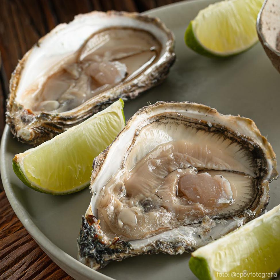 Kit Completo com Ostras – Clube da Ostra Delivery